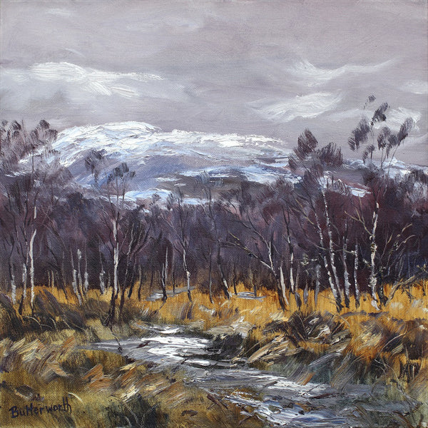 Online Gallery & Shop Page 3 - The Butterworth Gallery